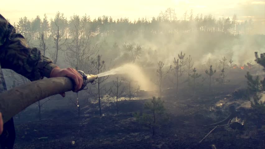 Firefighting Stock Video Footage - 4K and HD Video Clips | Shutterstock