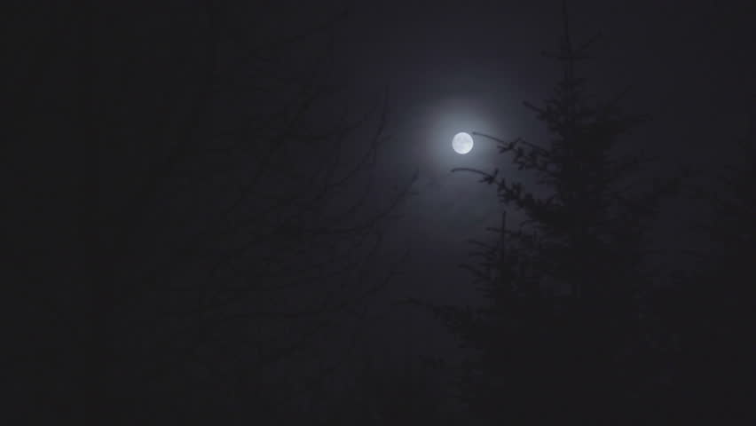 Full Moon at Midnight in Stock Footage Video (100% Royalty-free ...