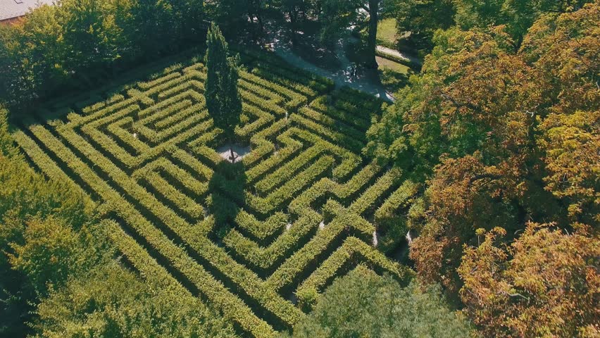 Hedge Maze in City Park. Stock Footage Video (100% Royalty-free ...