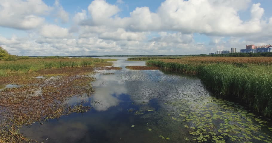 Water with reflection of clouds in the marsh image - Free stock photo ...