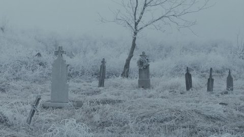 Cemetery Snow Stock Video Footage - 4K and HD Video Clips | Shutterstock