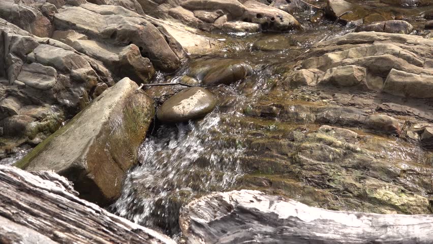Stream and Brook landscape in Washington image - Free stock photo ...
