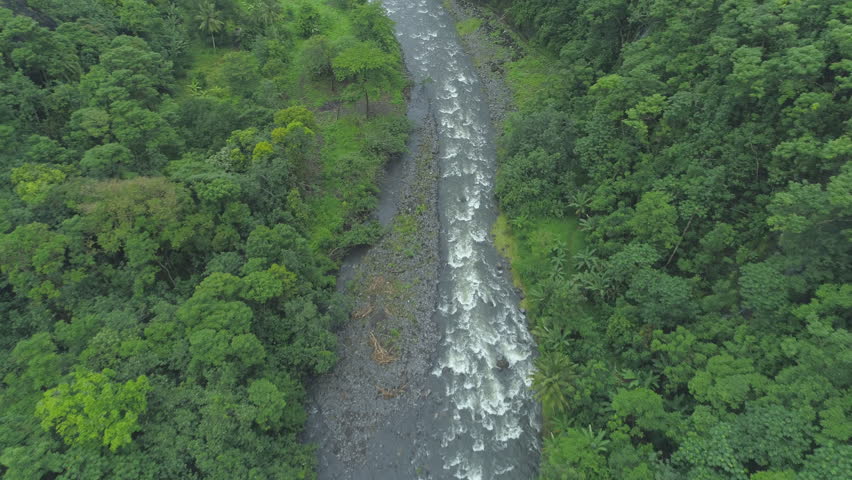 Rushing river flowing through the forest image - Free stock photo ...