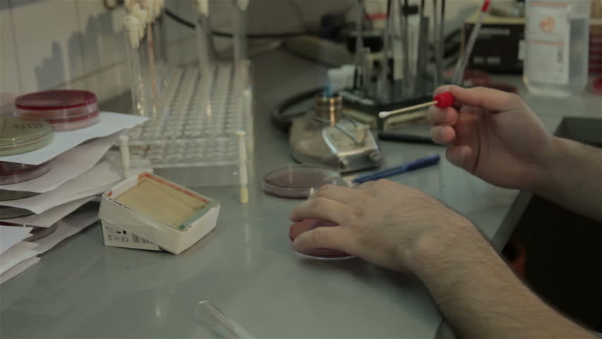 Laboratory Technician Taking Specimens From Test Tubes And Analyzing ...