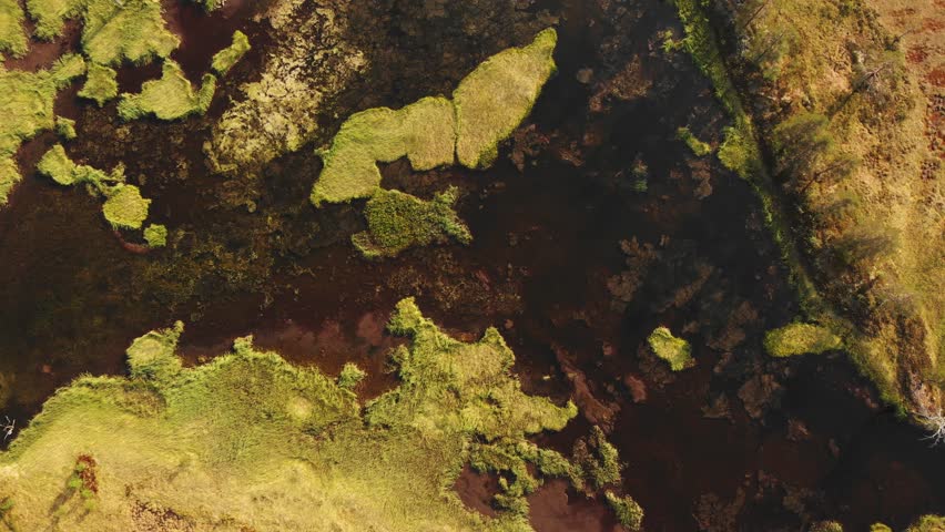 Mire Stock Video Footage - 4K and HD Video Clips | Shutterstock