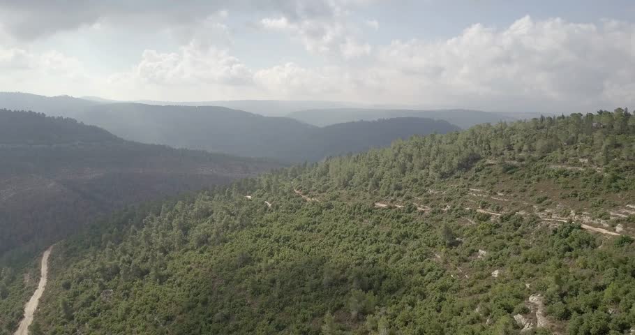 Hills and Trees in Israel image - Free stock photo - Public Domain ...