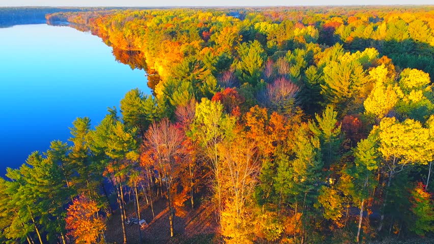 View of the trees and autumn forest in Wisconsin image - Free stock ...