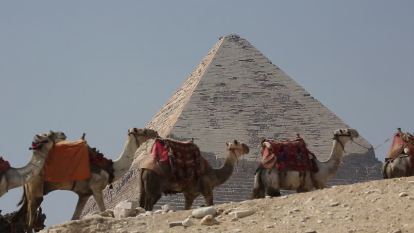 Camels Pass By Egyptian Pyramid Stock Footage Video (100% Royalty-free ...