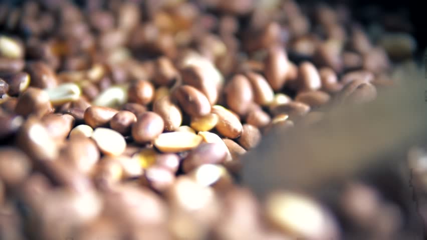 Peanuts in shells image - Free stock photo - Public Domain photo - CC0 ...