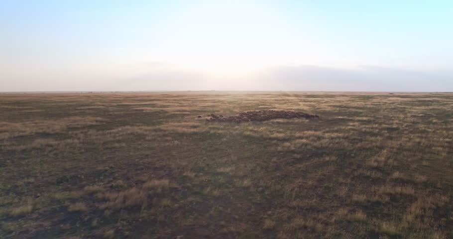 Sun and Prairie View Landscape image - Free stock photo - Public Domain ...