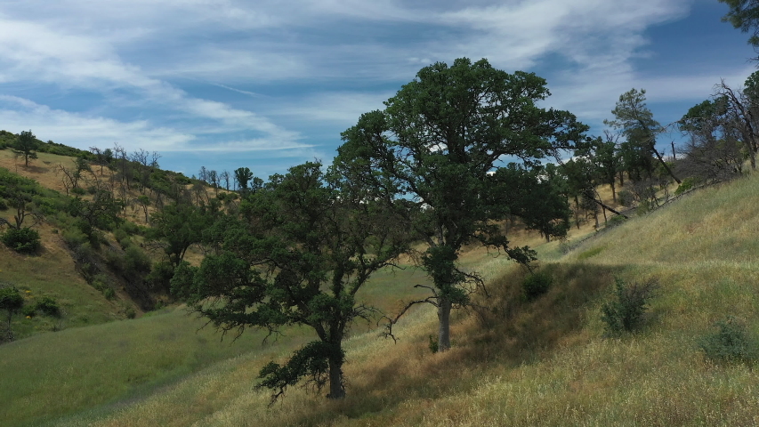 Plains and Hills and Mountains in California image - Free stock photo ...