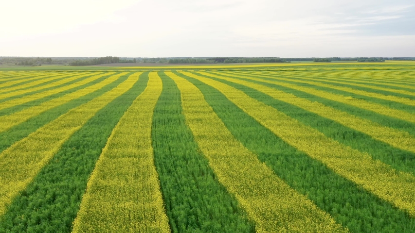 Strip Cropping on a farm image - Free stock photo - Public Domain photo ...