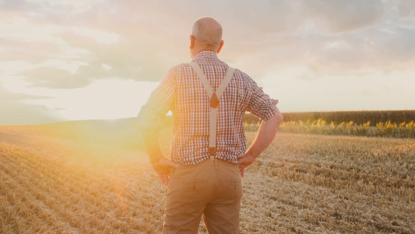 man-resting-at-sunset-looking-at-the-view image - Free stock photo ...