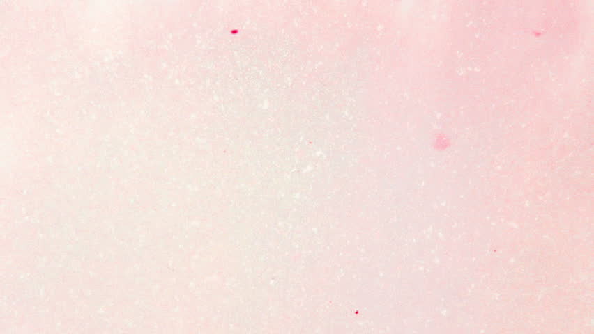 Floating Pink Particles - Abstract Stock Footage Video (100% Royalty ...