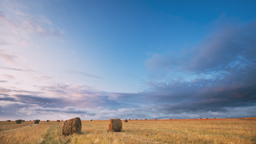 Bale Stock Video Footage - 4K and HD Video Clips | Shutterstock