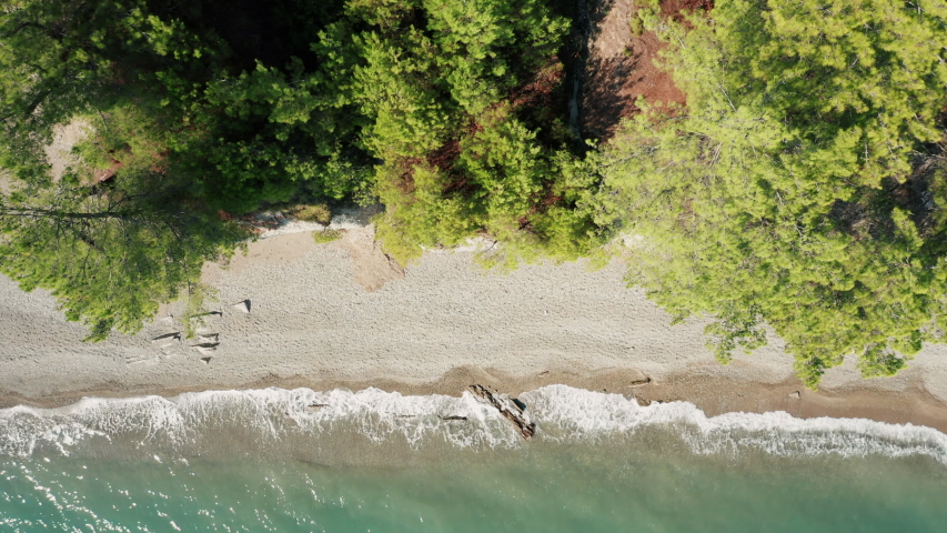 Aerial View of lake shoreline with forest image - Free stock photo ...