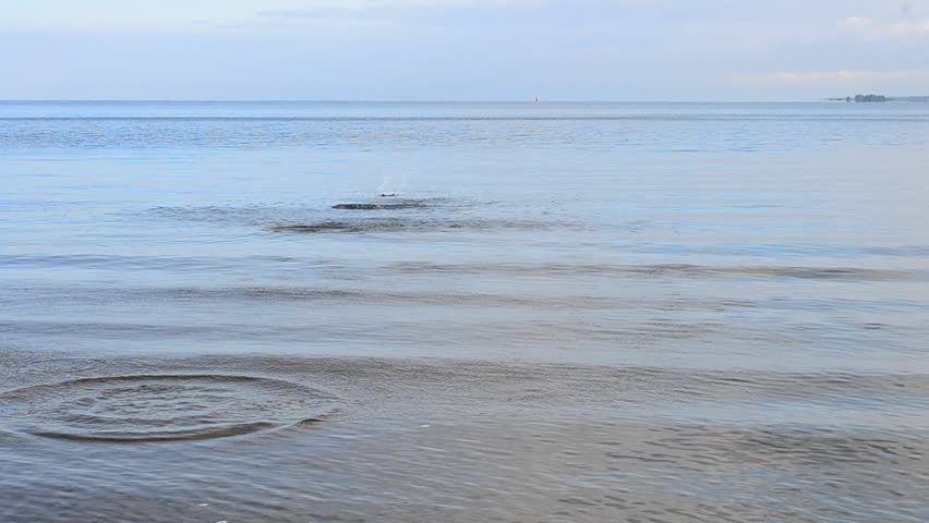 Stone Skipping On Water At Dawn. Beautiful View Of Throwing A Small ...