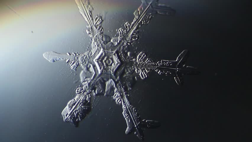 Melting Snowflakes Background. Timelapse Shoot Stock Footage Video (100 ...