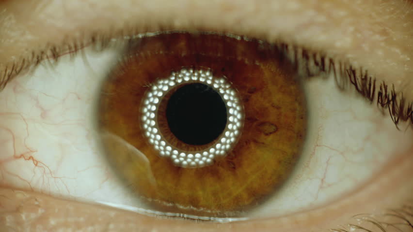 Slow Motion Macro CU Eye Iris Pupil Contracting ,light Reflected.500 ...