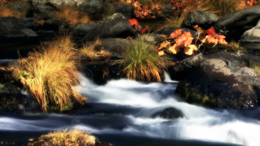 Stock video of a gentle stream flows between rocks | 1388251 | Shutterstock