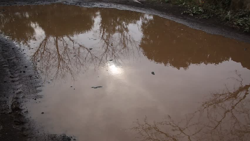 Stock Video Clip of Landscape of reflective images on the puddle ...