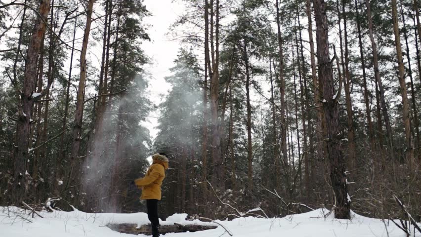 Man Walking in the Wood Stock Footage Video (100% Royalty-free ...