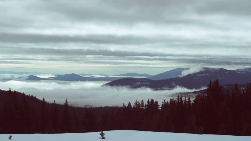 Mist over the forest and trees in Oregon image - Free stock photo ...