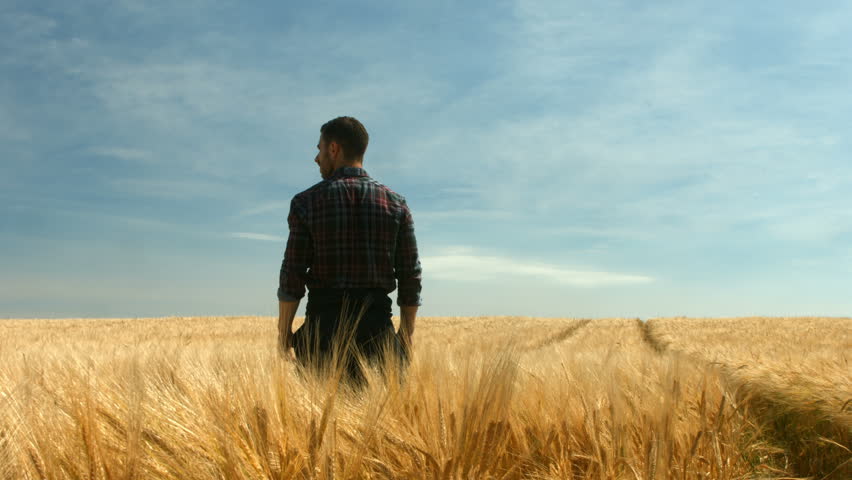 Farmer Looking Out Over His Stock Footage Video (100% Royalty-free ...