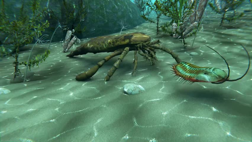 An Animation Of A Trilobite Moving About On A Cambrian Period (400 ...