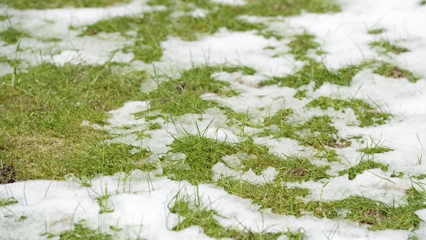 Time-lapse Video of Snow Melting Stock Footage Video (100% Royalty-free ...