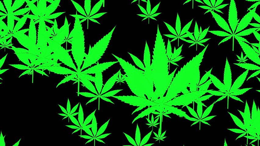 Flying Cannabis Leaves On Green Stock Footage Video 10818164 | Shutterstock Flying Cannabis Leaves On Green Stock Footage Video 10818164 | Shutterstock