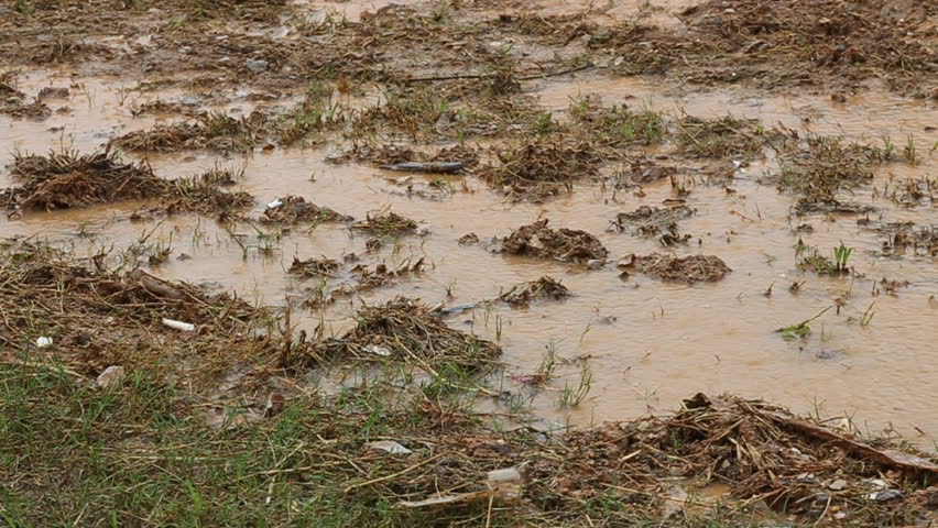 Heavy Rain On Mud And Grass Stock Footage Video 4419701 | Shutterstock