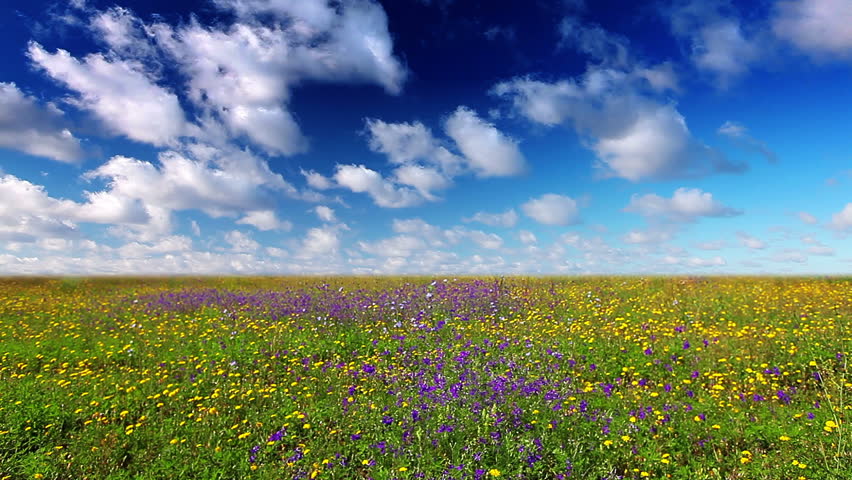 Spring Landscape Stock Footage Video (100% Royalty-free) 1865641 ...