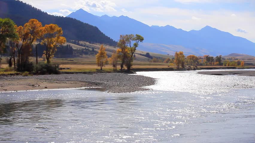 Landscape with grassland and tree in Montana image - Free stock photo ...