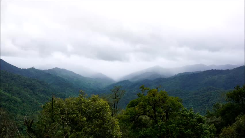 High Humidity in Mountains and Video de stock (totalmente libre de ...
