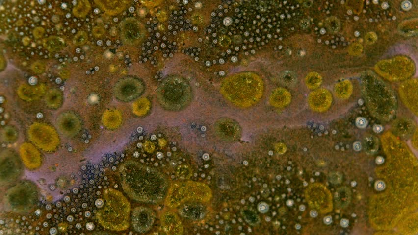 Curlicue of Paints Stock Footage Video (100% Royalty-free) 20824891 ...