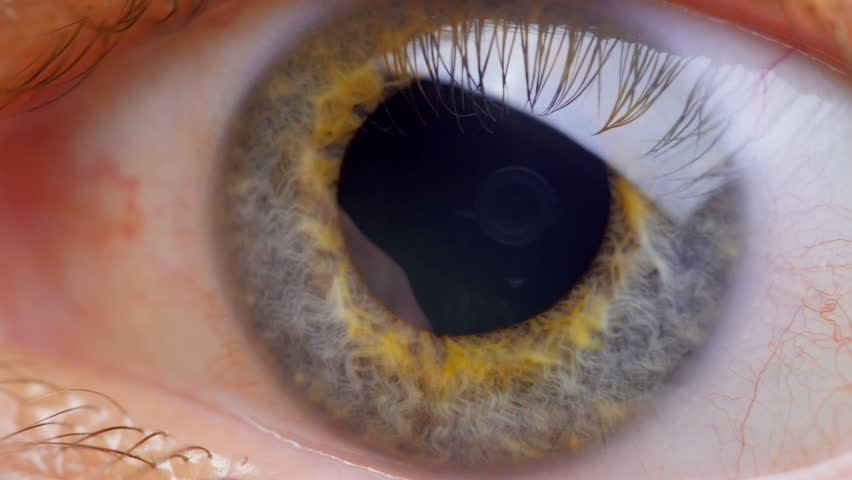 Close-up On An Eye. Horror Looking Eye. 4k, UHD Video Stock Footage ...