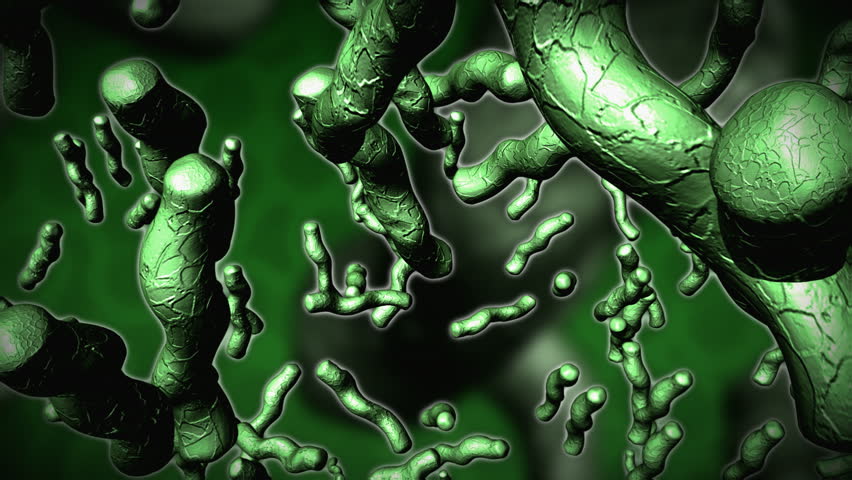 3d Animation of Bacteria Stock Footage Video (100% Royalty-free) 210601 ...