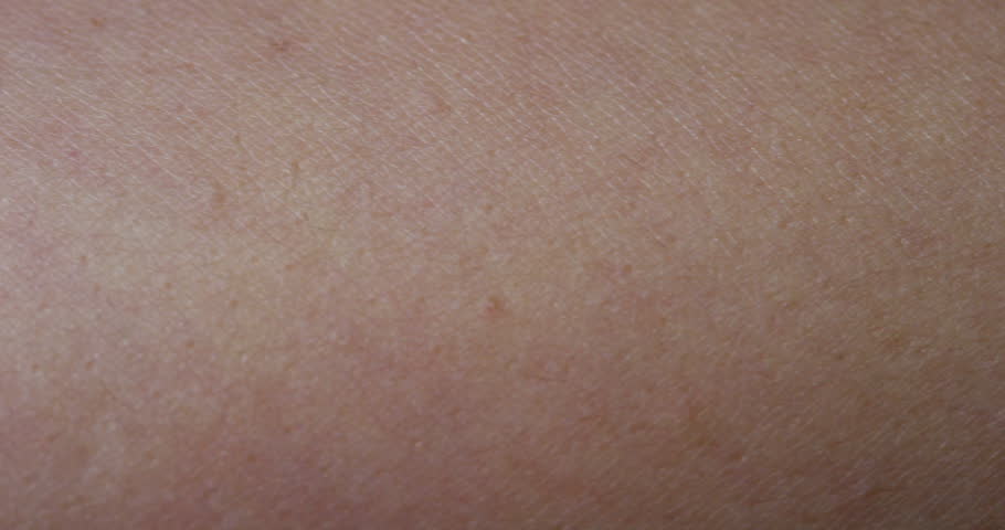 Women Leg Texture 4K 2160p UHD Panning Footage - Human Leg Close Up ...