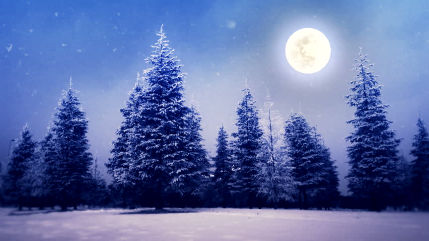 Stars Twinkle In The Night Sky, Snow Fall In Winter, Trees Shake In ...