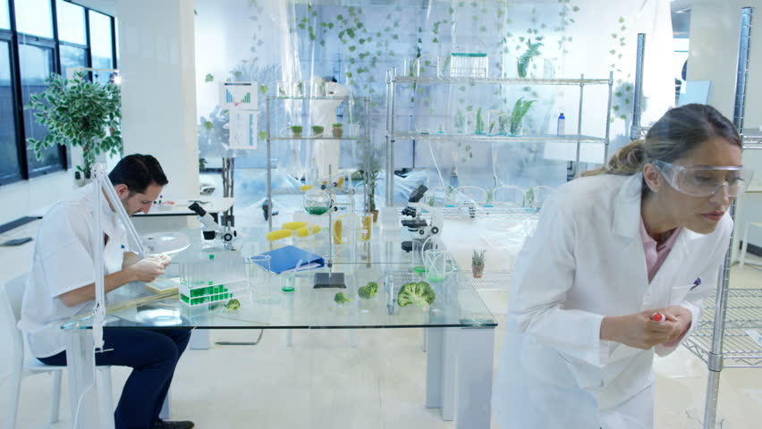 4k Scientific Research Team Working Stock Footage Video (100% Royalty ...