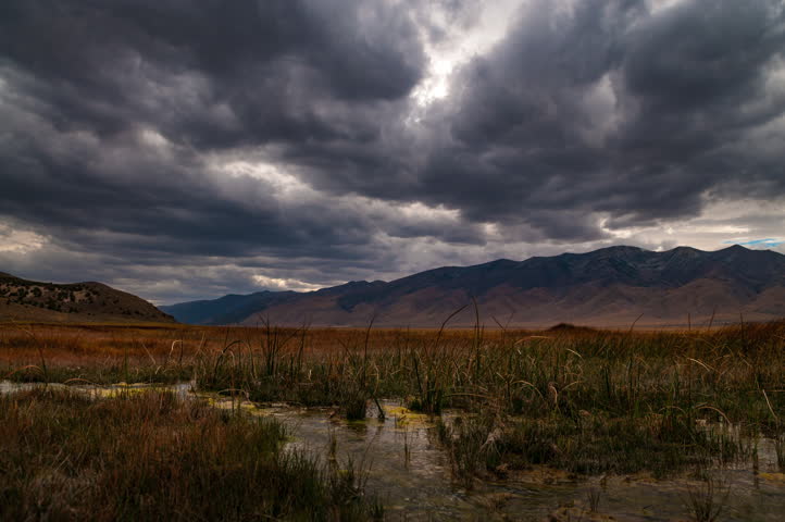 Stock video of nevada hot springs ruby valley wildlife | 23114011 ...