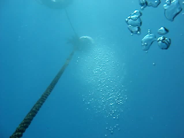Stock video of underwater bubbles going up a line | 231691 | Shutterstock