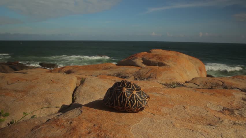 Rock Island in the ocean in Sri Lanka image - Free stock photo - Public ...