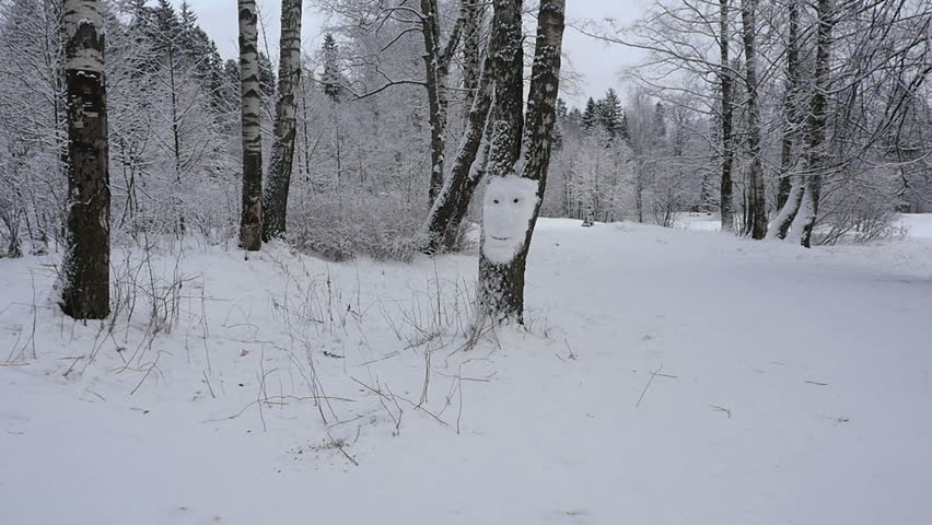 Winter Landscape In The Forest, Sad View With Dry Trees, White Snow ...
