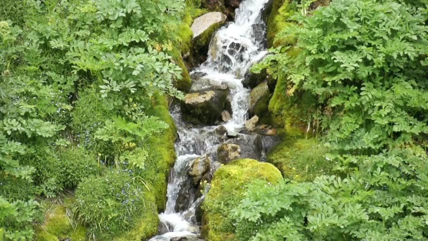 Pure Fresh Water Stream in Stock Footage Video (100% Royalty-free ...