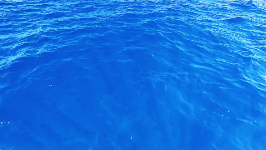 Striped Marlin Hooked Up And Jumping At The Back Of The Boat There Are ...