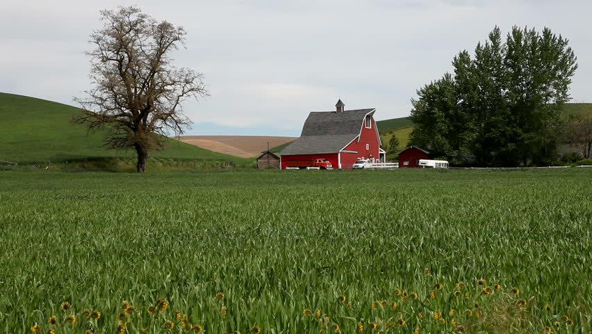 Farmland in Eastern Washington State, Stock Footage Video (100% Royalty ...