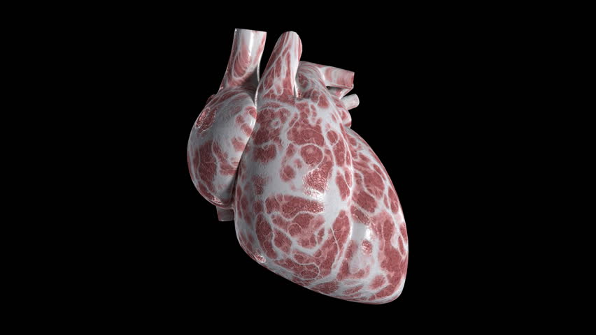 3d Animated Human Heart With Coronary Blood Vessels Atrium Ventricles ...