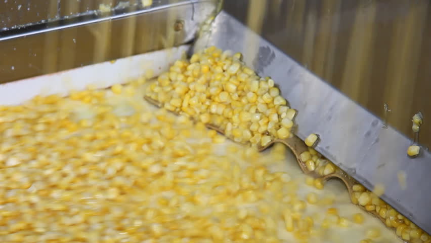 Corn Processing Factory Stock Footage Video (100% Royalty-free) 2755181 ...